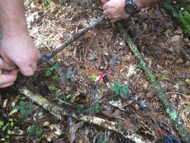 The Jungle Antenna Revisited: Task and Purpose for the Partisan and ...