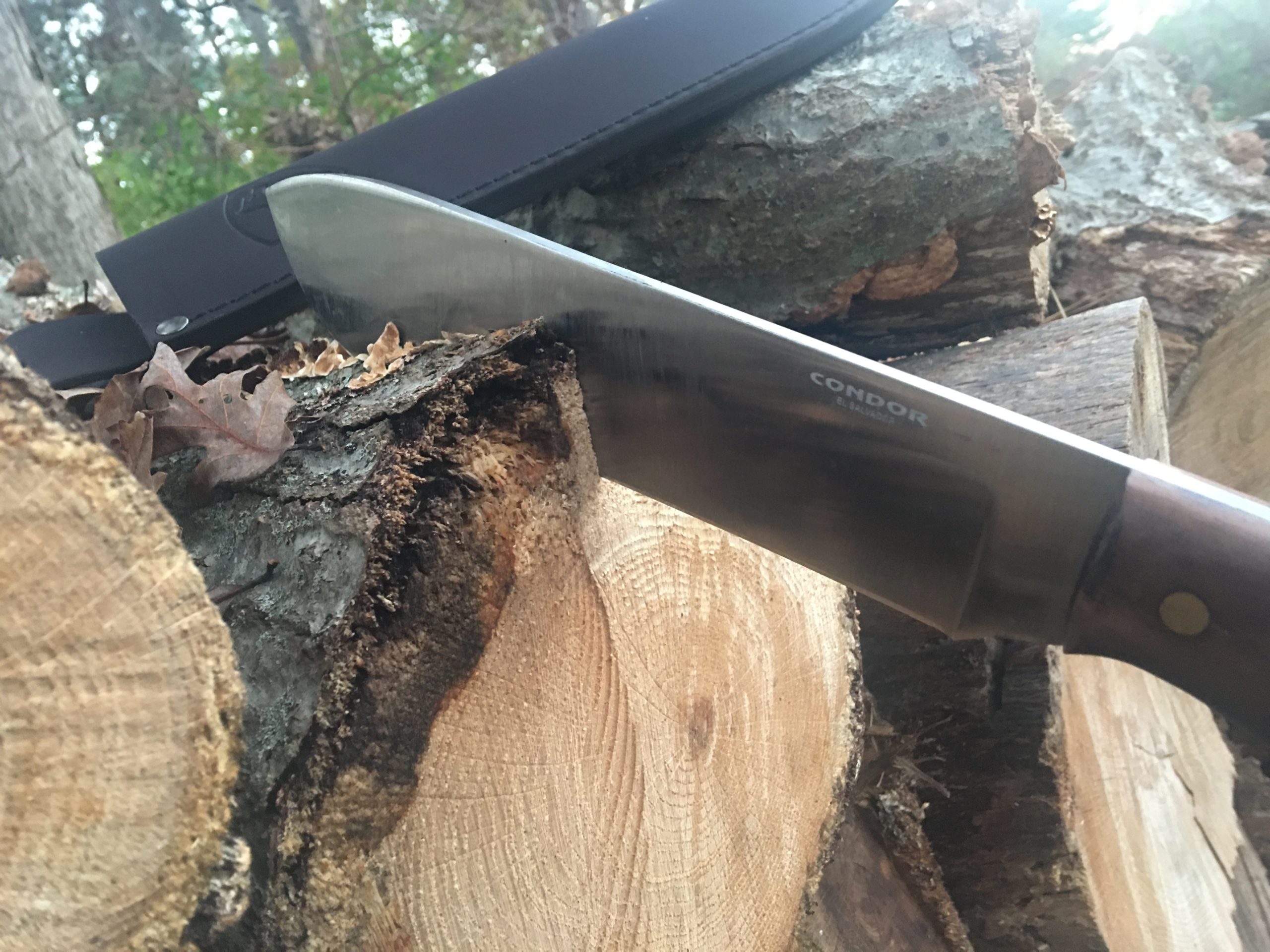 Review: Condor Ironpath Knife SS | American Partisan