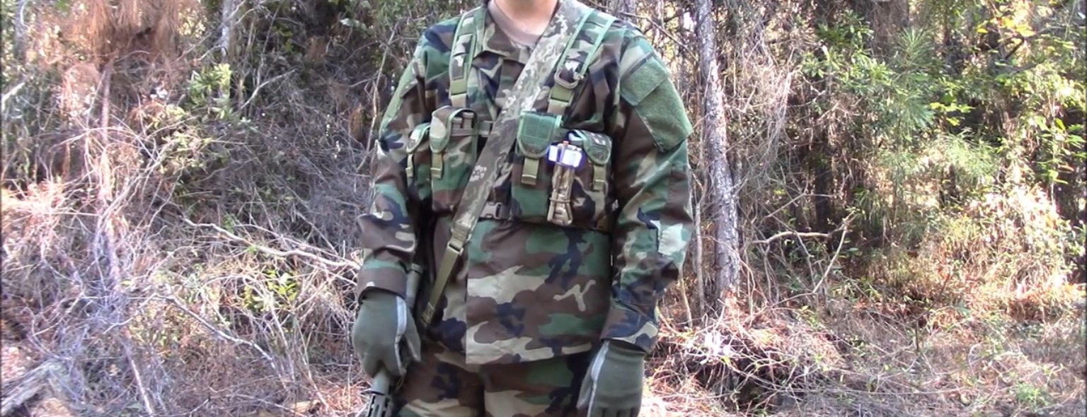 M81 Woodland, part 2. | American Partisan