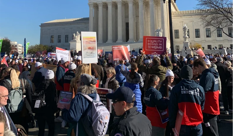 Supreme Court Opinions on Dobbs vs. Jackson - American Partisan